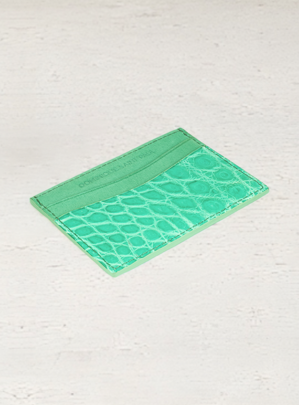 Schaeffer Crocodile - Dominique Saint Paul